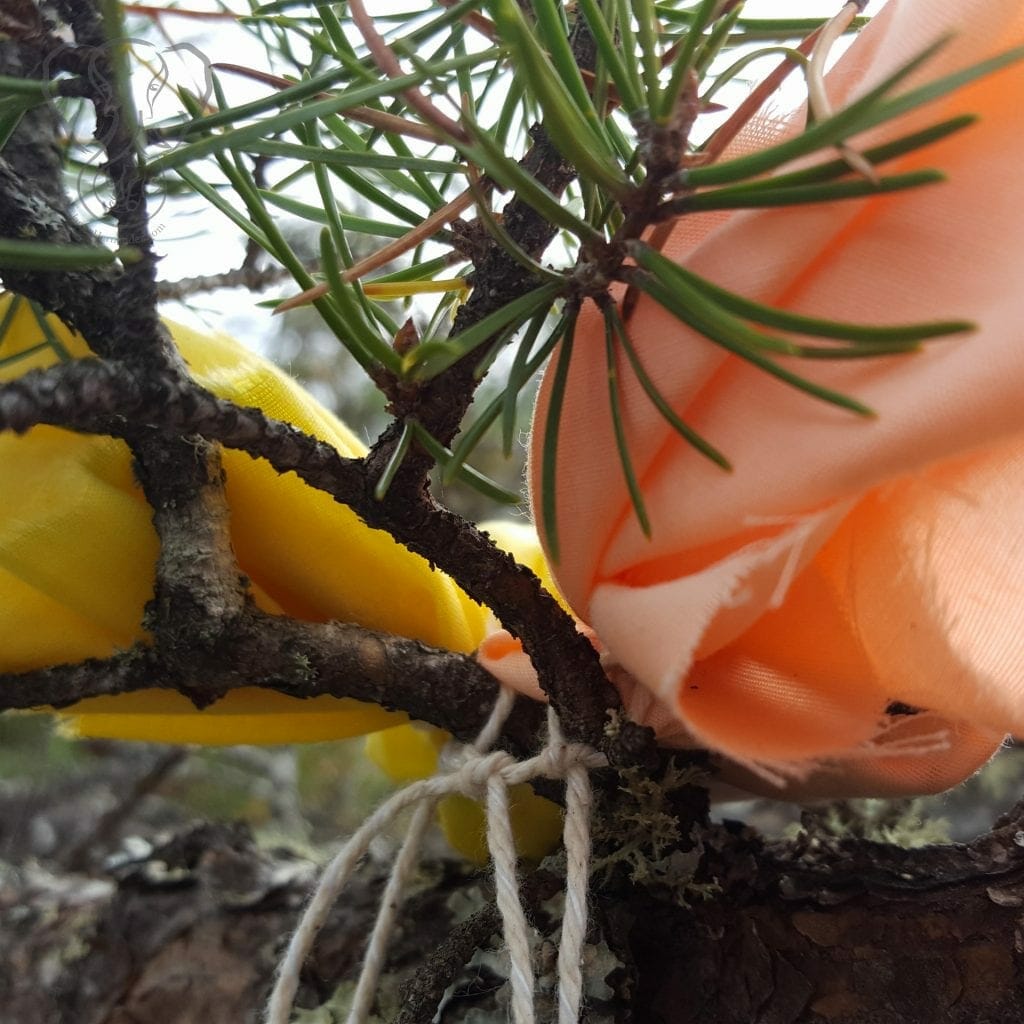 Coming Alive Again after the Death of My Stillborn Child