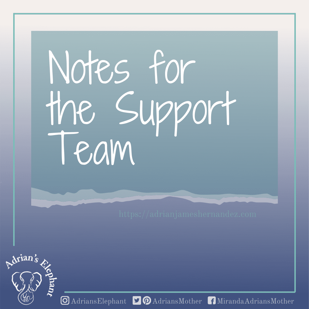Notes for the Support Team - Supporting Loved Ones after Loss