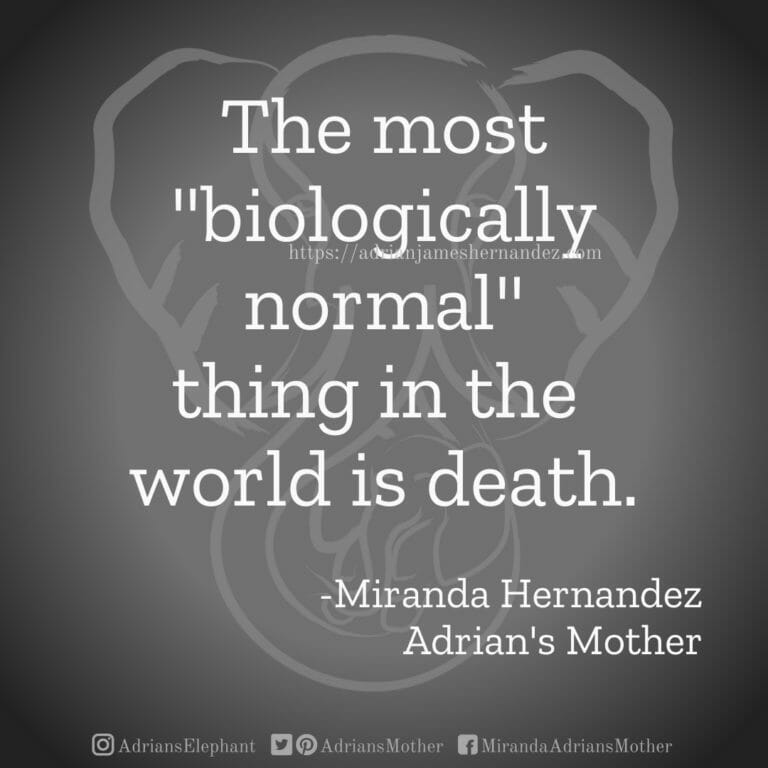 The most biologically normal thing in the world is death